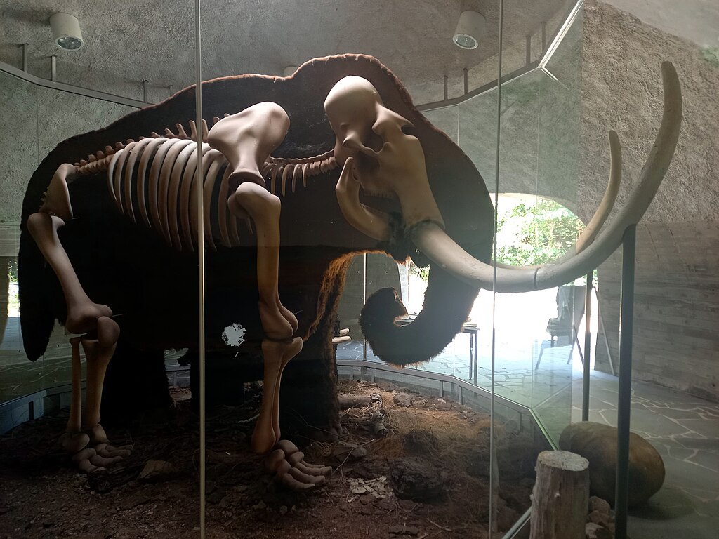 De-extinction or Genetic Mimicry: Can We Bring Back the Wooly Mammoth ...
